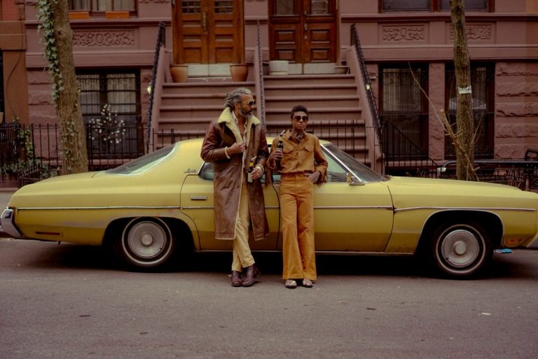 Black Boy Fly - Laboratorio-a